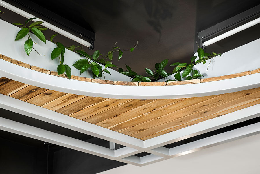 BAI LONG – emmasadiethomson